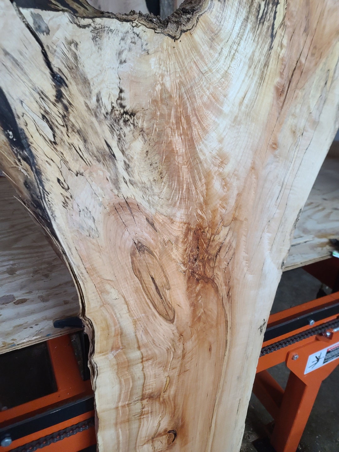 Spalted Hard Maple Slab. Live Edge Crotch-figured. Flattened - Etsy