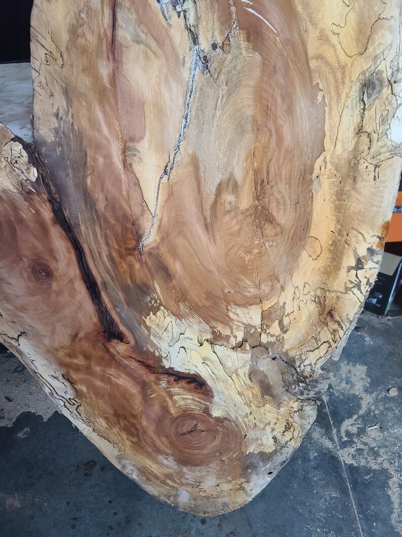 Spalted Sycamore Live Edge Multi Figured Slab Flattened Planed - Etsy