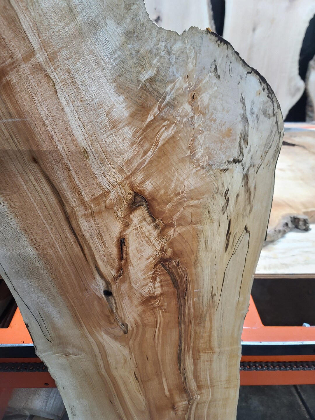Hard Maple Slab. Live Edge Multi Figured. Flattened Planed - Etsy