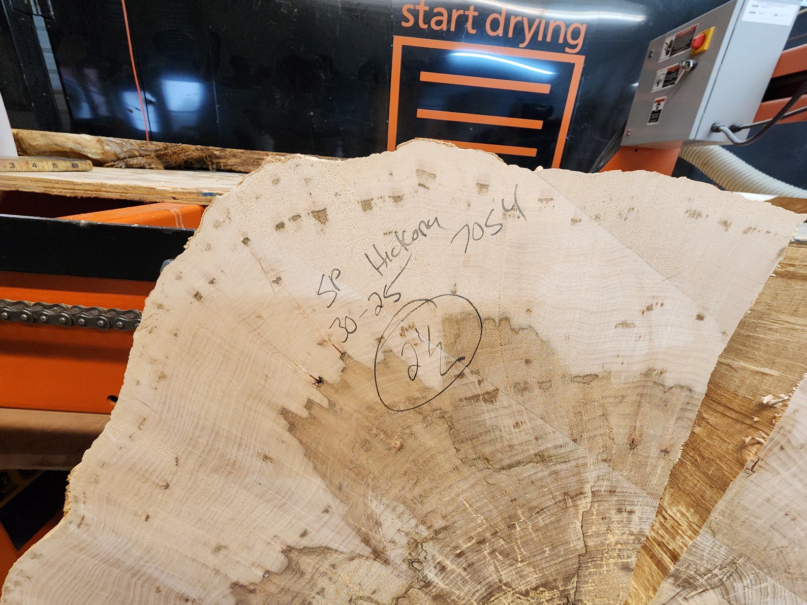 Spalted Hickory Live Edge Round Wood Slab | Cookie, 30