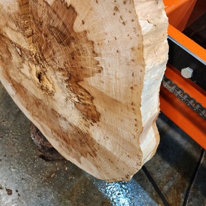 Spalted Hickory Live Edge Round Wood Slab | Cookie, 30