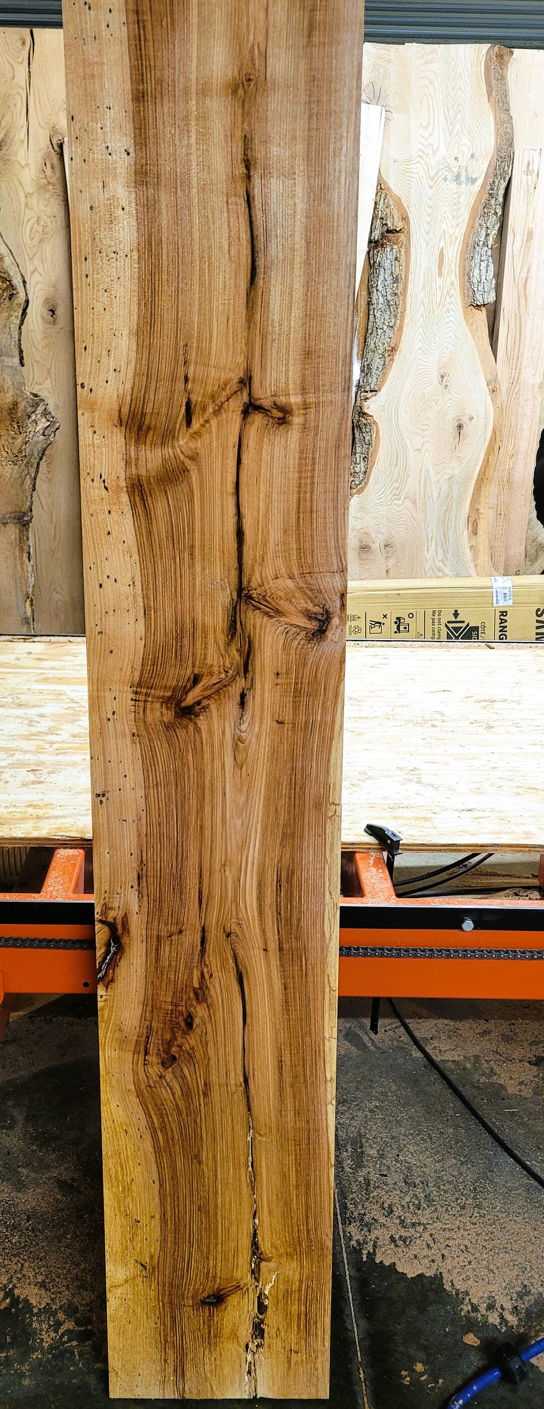 Spalted Hickory. Multi-figured Slab. Flattened Planed Vacuum - Etsy