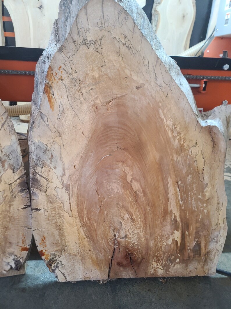 Book-matched Spalted Live Edge Sycamore Wood Slabs. Kiln Dried. (36"x28 ...