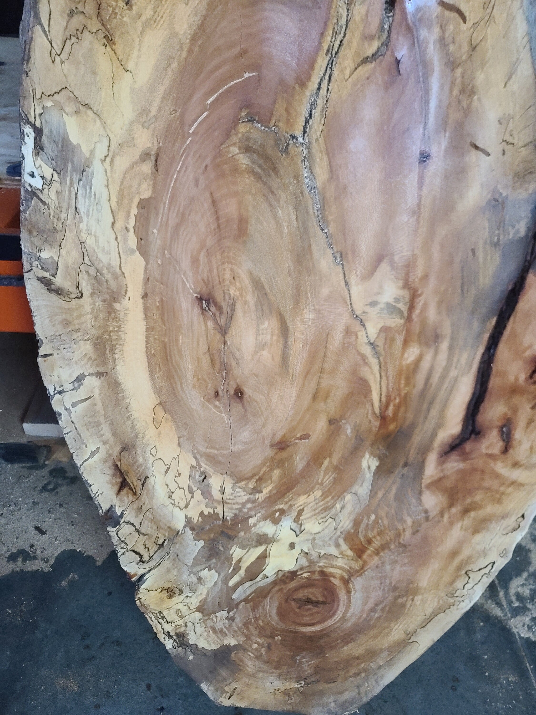 Spalted Sycamore Live Edge Multi Figured Slab Flattened Planed - Etsy