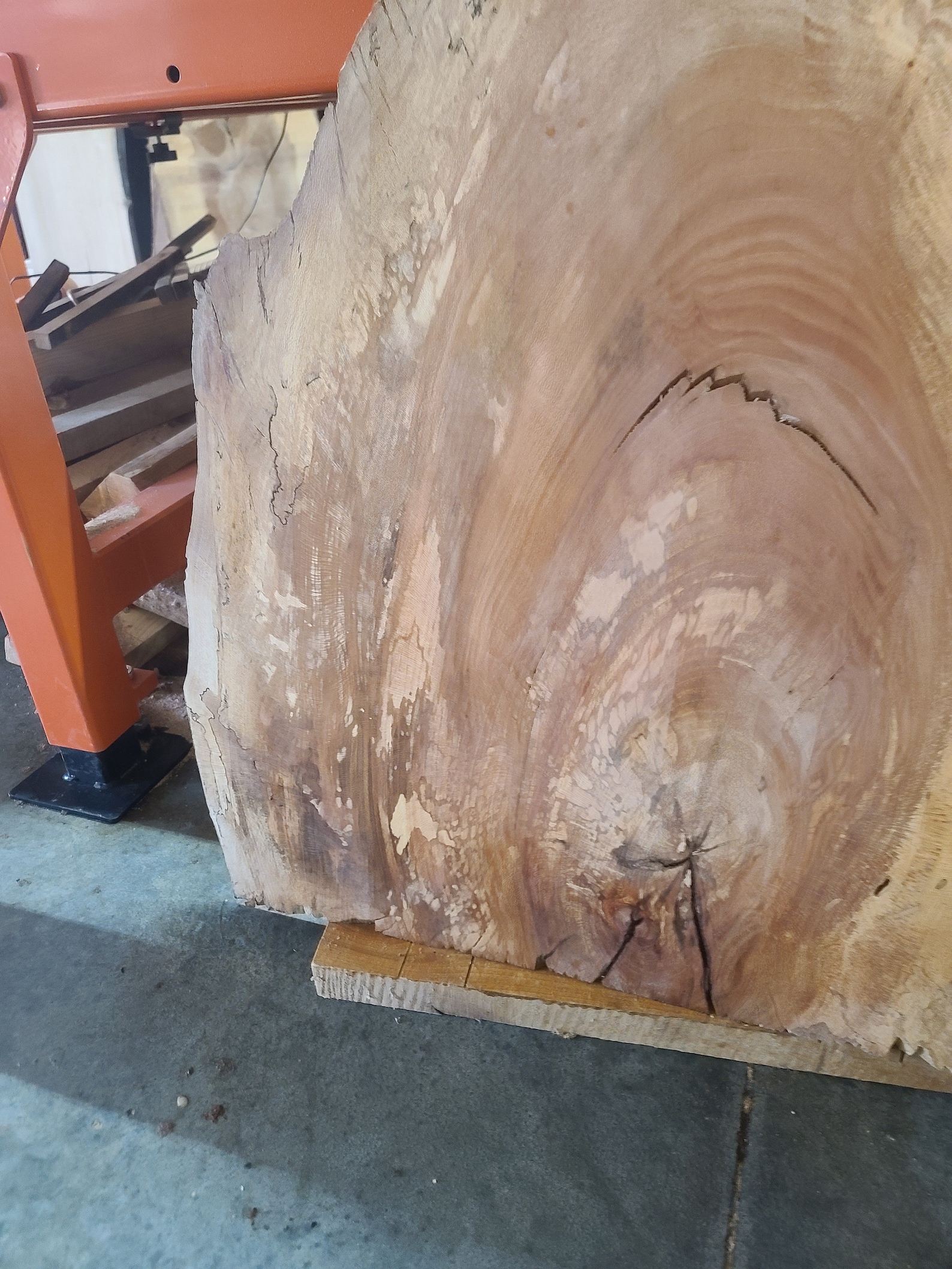 Book-matched Spalted Live Edge Sycamore Wood Slabs. Kiln Dried. (36"x28 ...