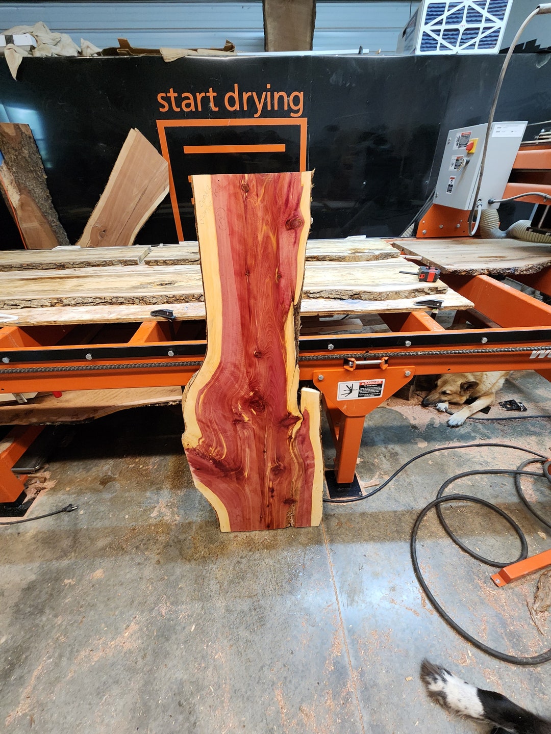 Cedar Slab. 50" X 19-11" X 1 1/2". Live-edge, Multi-figured Slab ...