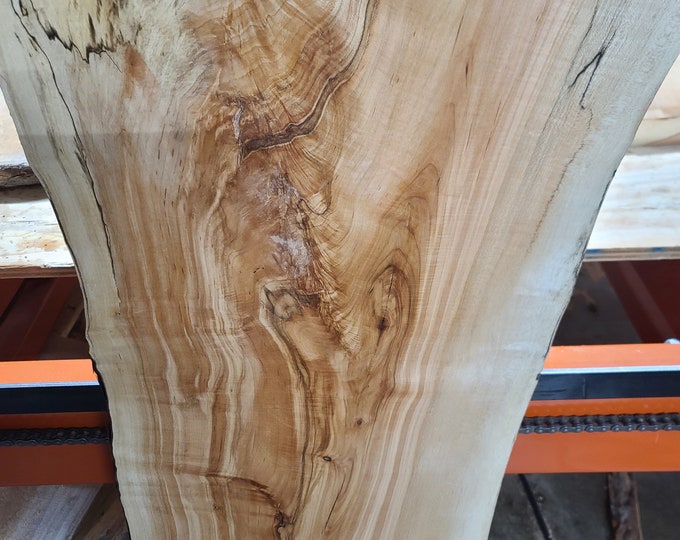 Spalted Hard Maple Slab. Live Edge, Multi Figured. Flattened Planed ...