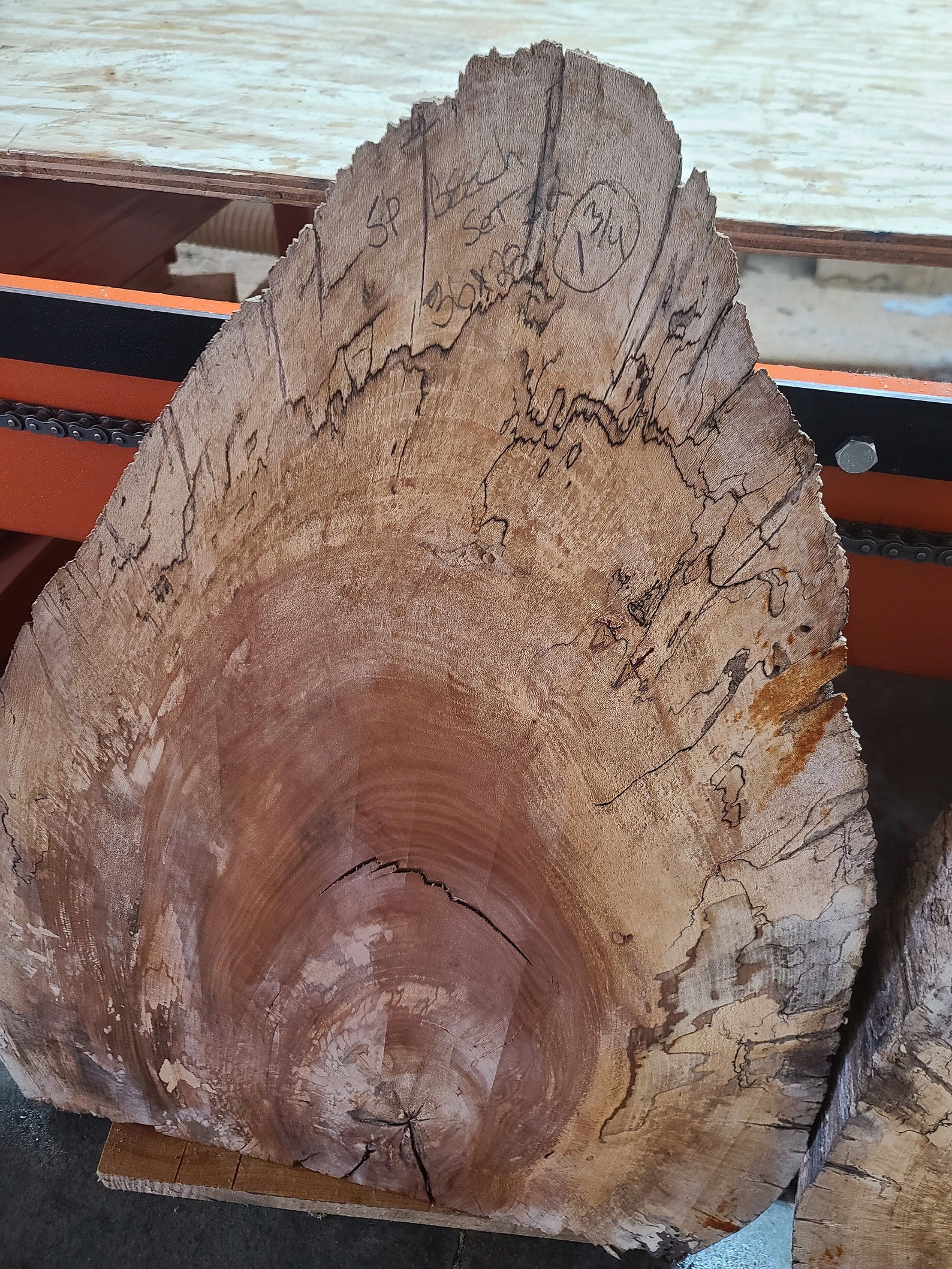 Book-matched Spalted Live Edge Sycamore Wood Slabs. Kiln Dried. (36"x28 ...
