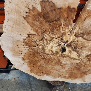 Spalted Hickory Live Edge Round Wood Slab | Cookie, 30