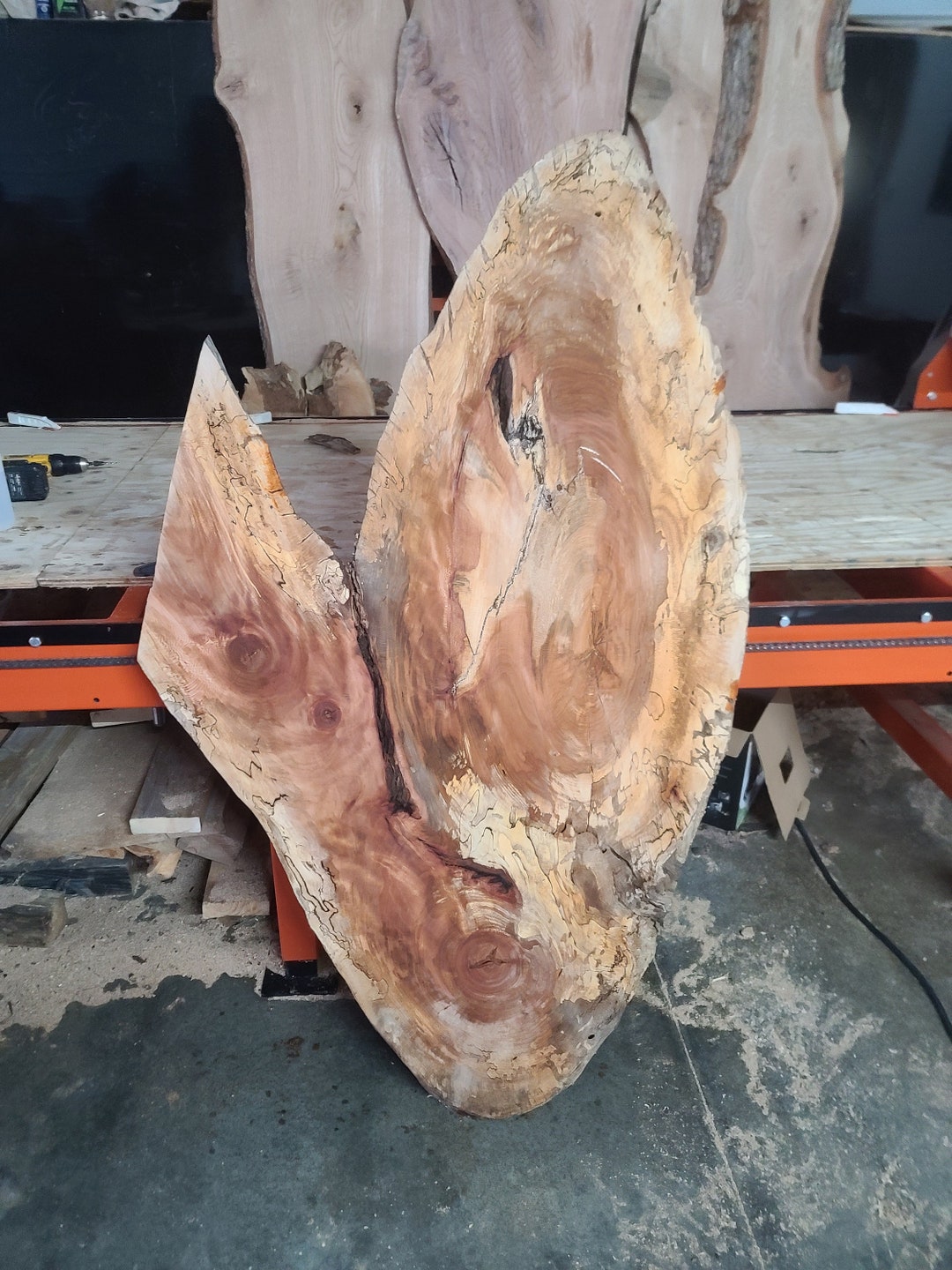 Spalted Sycamore Wood Slab. Multi-figured, Kiln Dried. (65"x39"x1 5/8 ...