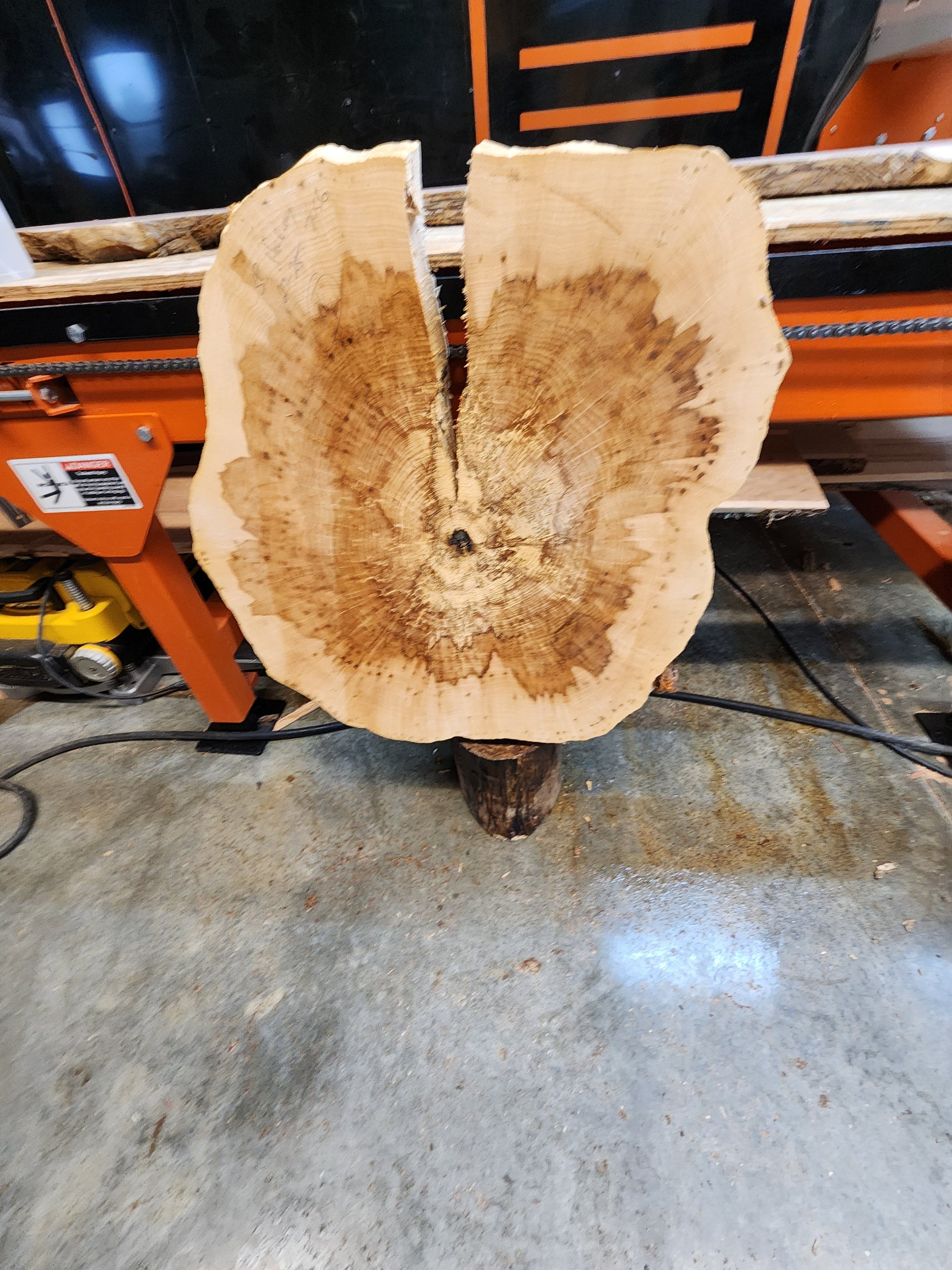 Spalted Hickory Live-edge Wood Slab | Cookie/round (27-25