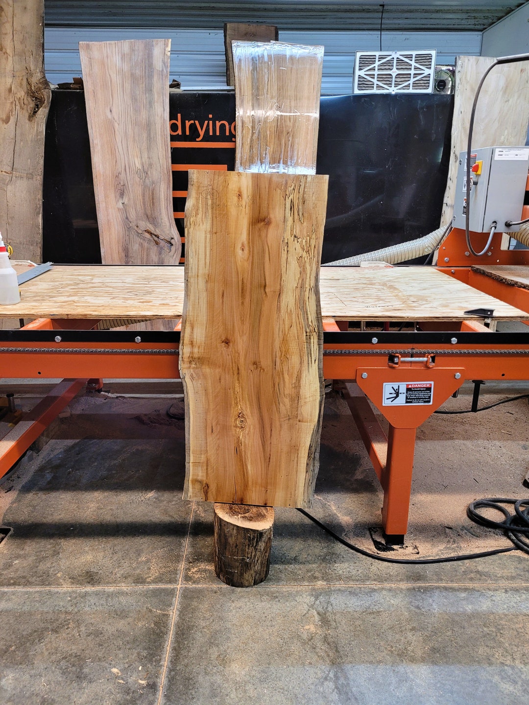 Gum Slab, Spalted. 40.5 X 16-18 X 1 5/8. Live-edge. Multi-figured ...