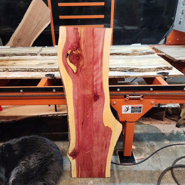 Live Edge Picnic Table Cedar - Etsy