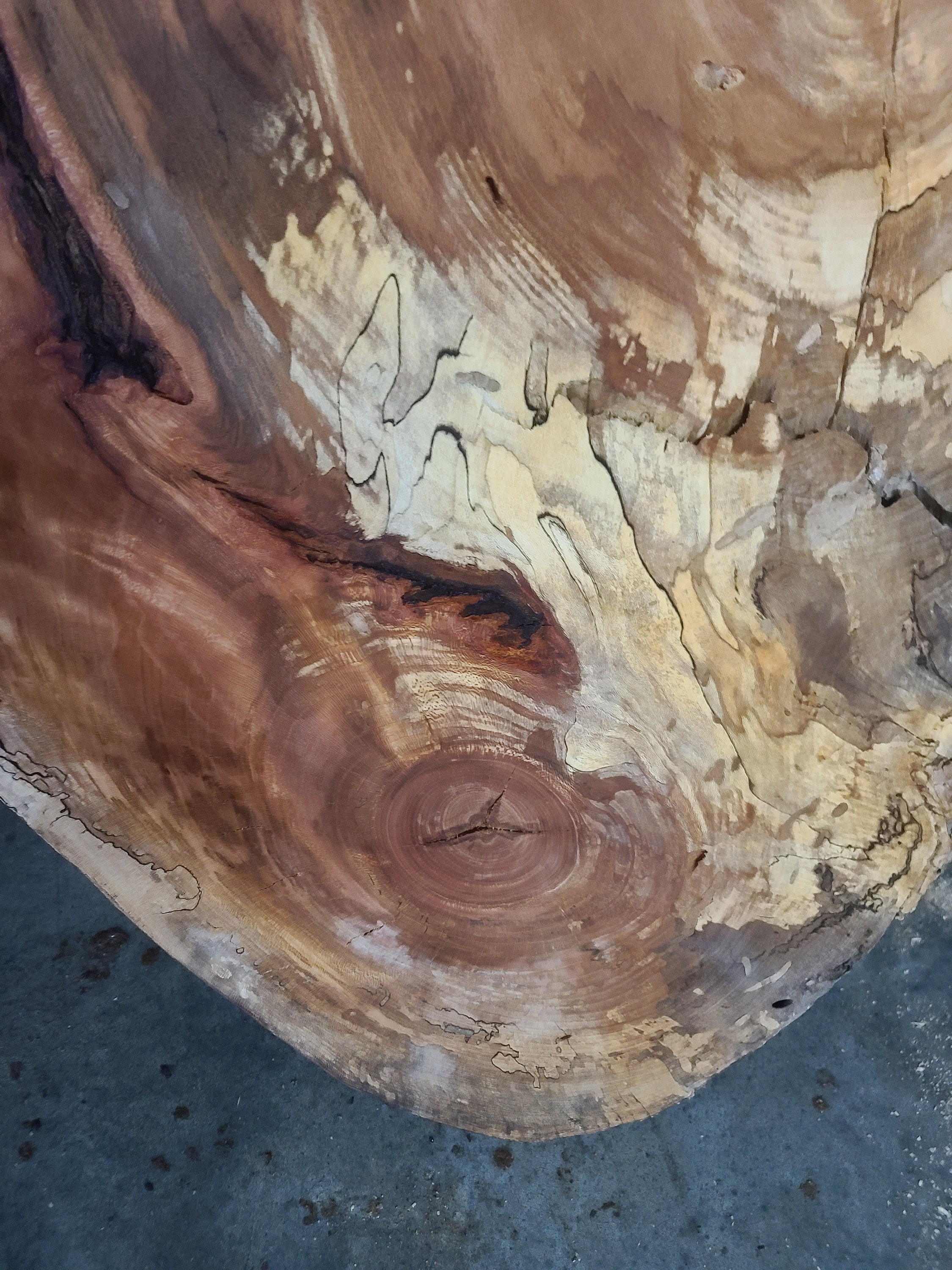 Spalted Sycamore Wood Slab. Multi-figured, Kiln Dried. (65"x39"x1 5/8 ...