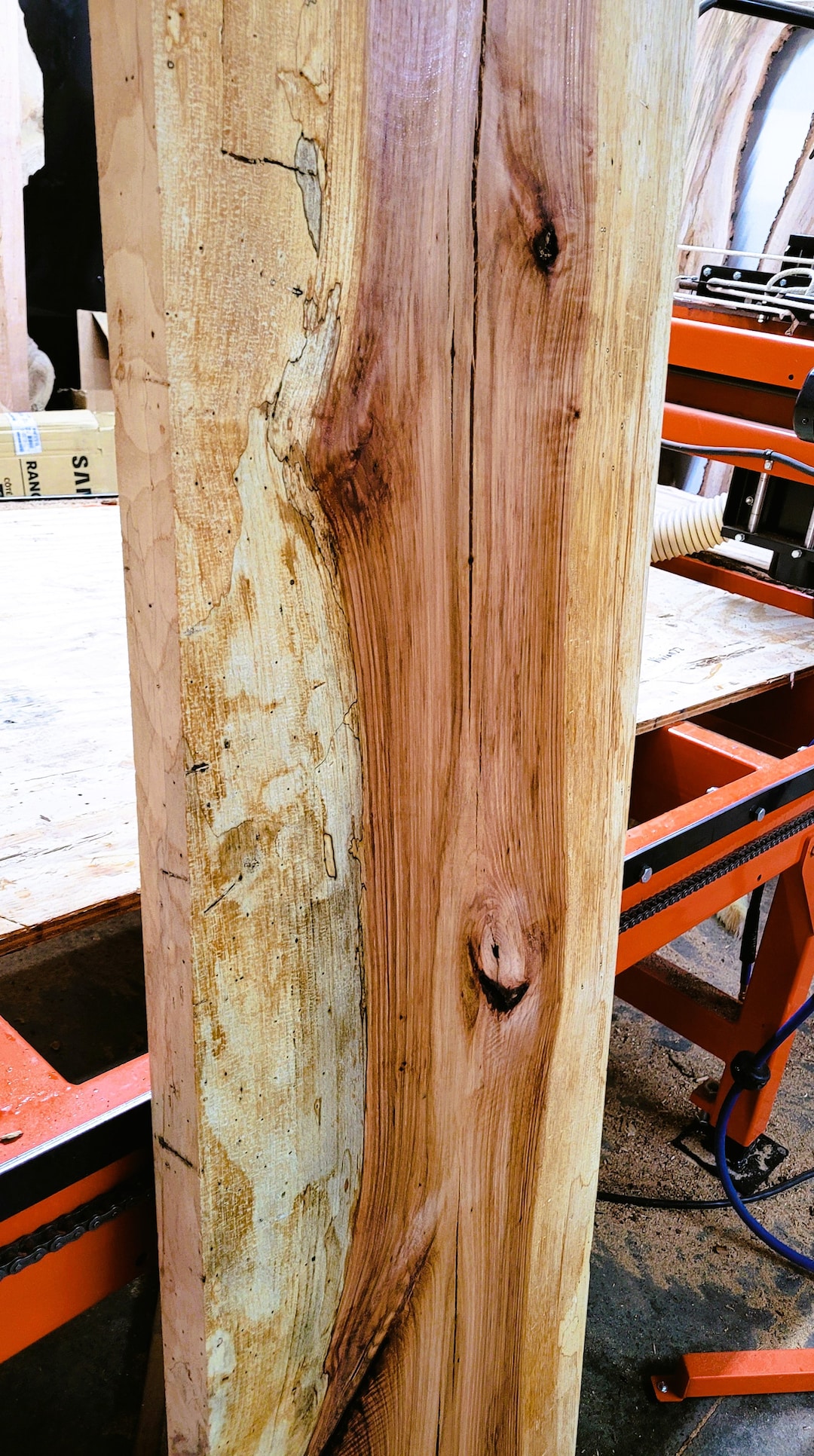 Spalted Hickory. Multi-figured Slab. Flattened, Planed, Vacuum Kiln ...