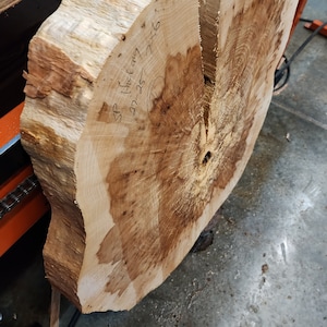 Spalted Hickory Live-edge Wood Slab | Cookie/round Slab | 27 -25 " Wide ...
