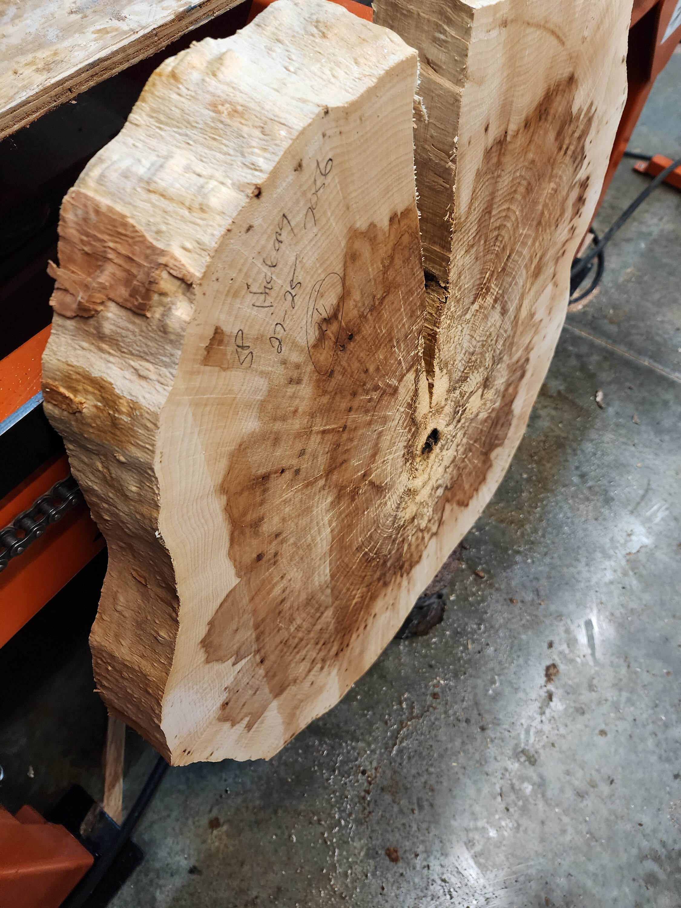 Spalted Hickory Live-edge Wood Slab | Cookie/round (27-25