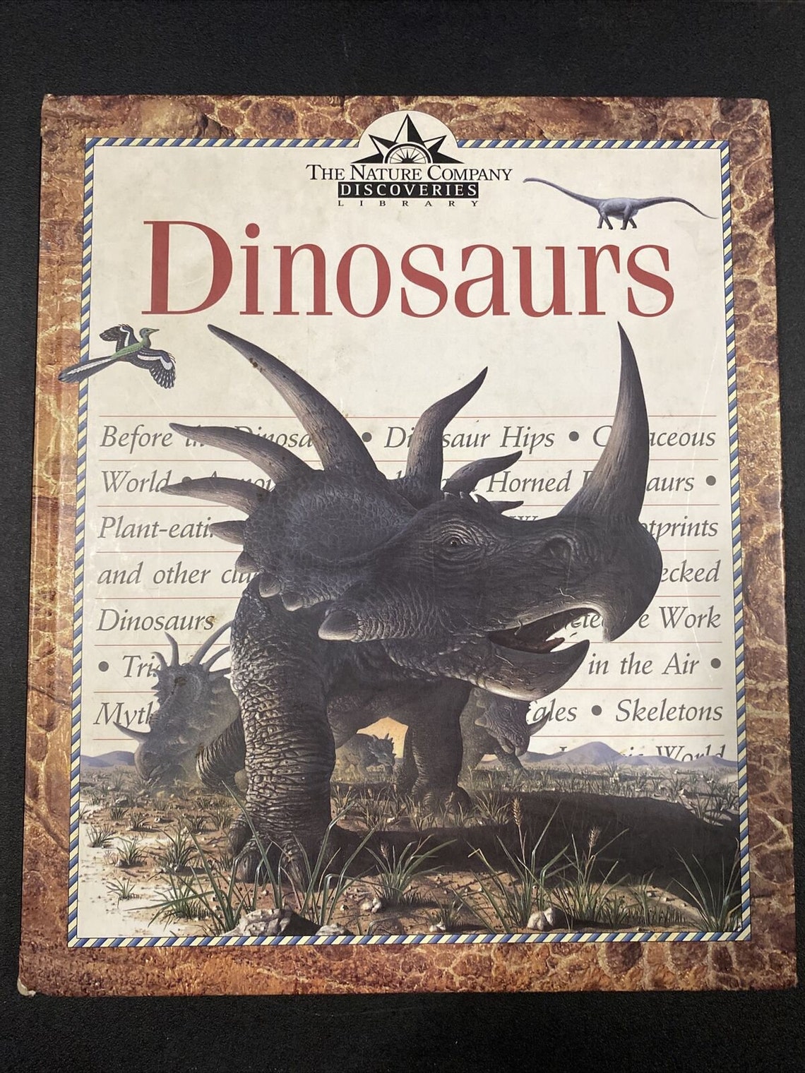 Nature Company Discoveries Library: Dinosaurs by Angela Milner - Etsy