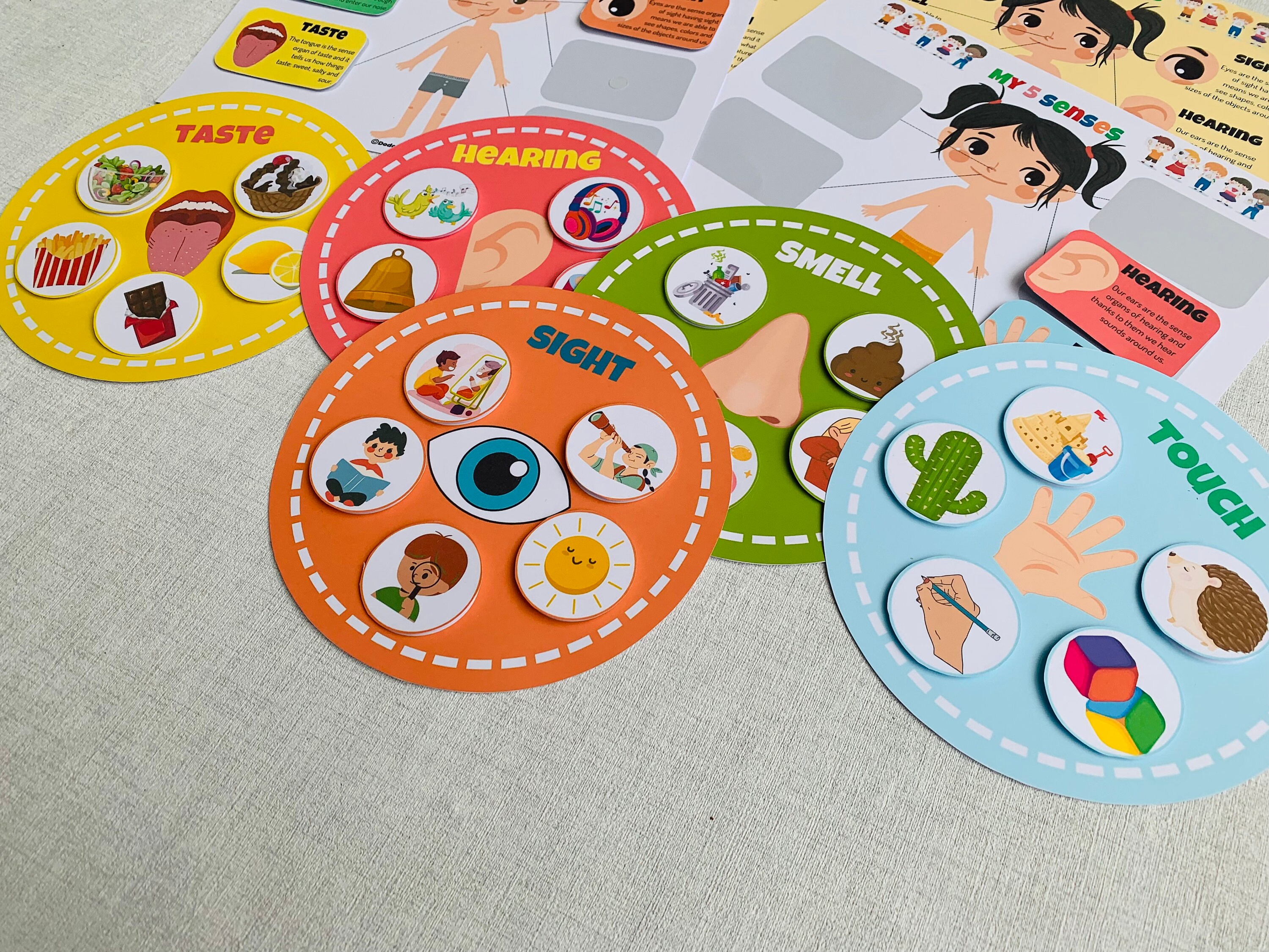 Five Senses Sorting Activity Printable 5 Senses Sorting - Etsy Australia