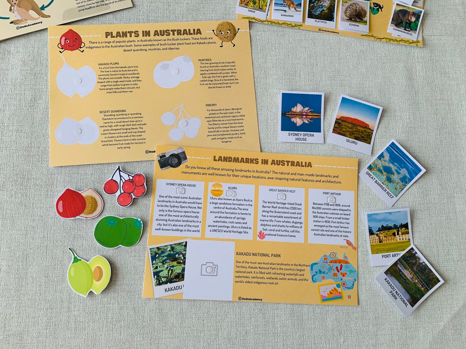 Australia Continents & Oceans Printable Activity Pack World Geography ...