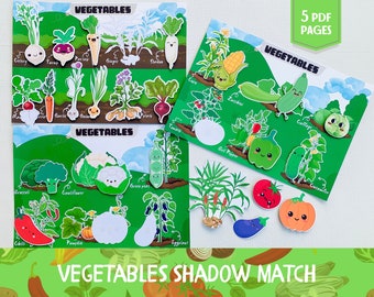 Cute Fruits and Vegetables Sorting Worksheet, Fruits and Vegetable ...