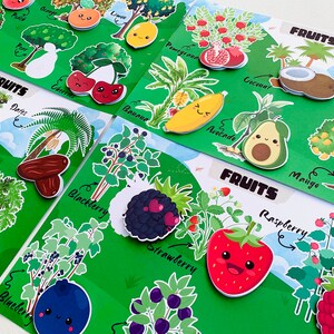 Fruits Sorting Worksheet Fruits and Vegetable Shadow Matching Activity ...