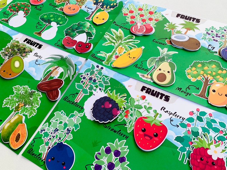 Fruits Sorting Worksheet Fruits and Vegetable Shadow Matching Activity ...