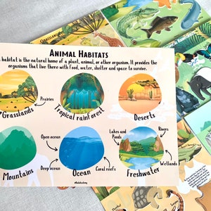Animal Habitats Matching Game Geography Sorting Activity Animal Fun ...
