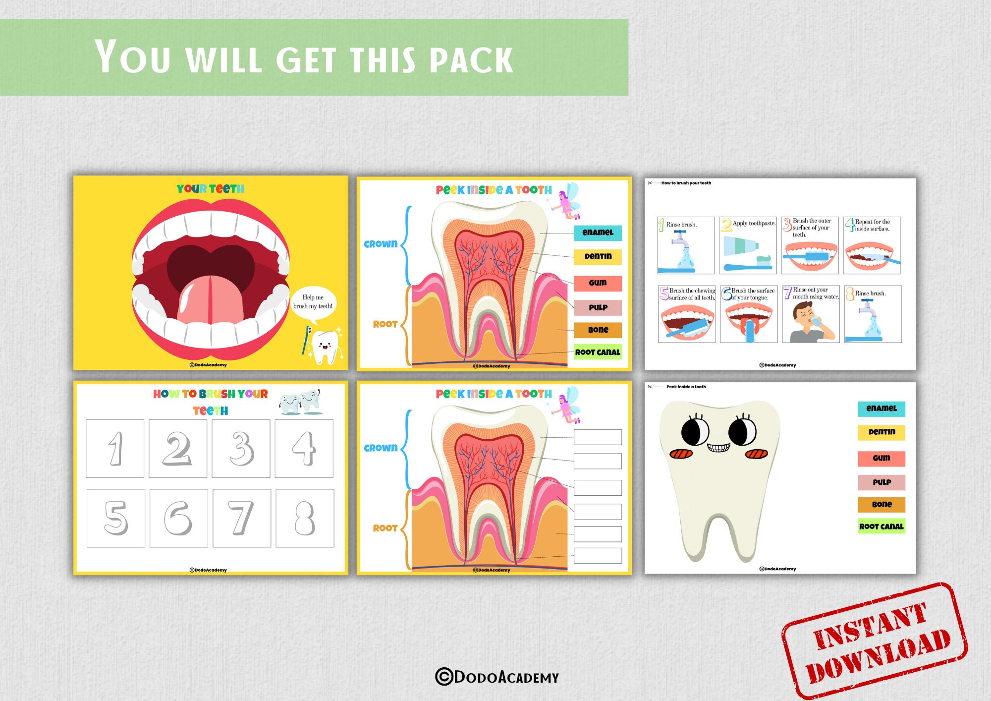 Dental Health Activity Human Anatomy Printable Preschool Toddler ...
