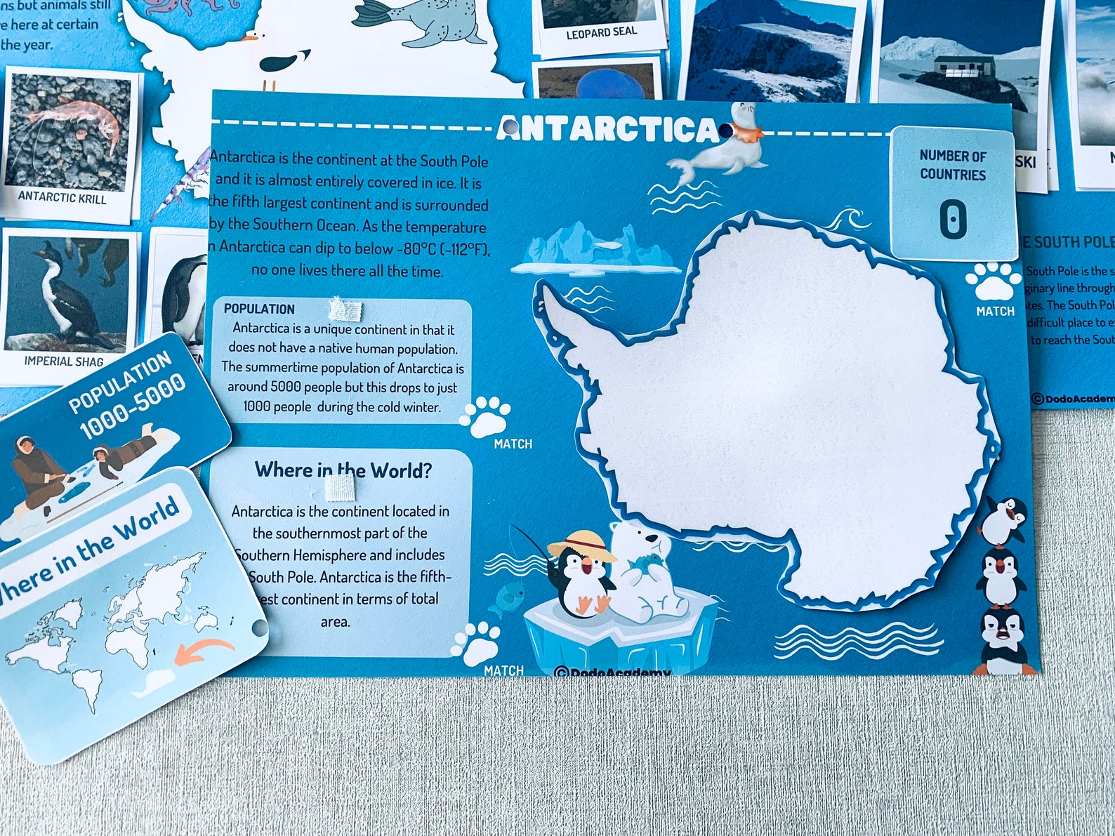 Antarctica Continents & Oceans Printable Activity Pack World - Etsy
