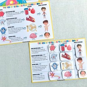 Human Anatomy Busy Book Human Cell Body Parts Printable Montessori ...