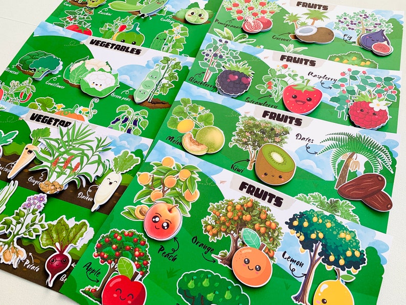 Fruits and Vegetable Sorting Worksheet Fruits and Veggies Shadow ...