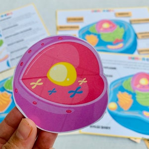Human Anatomy Busy Book Human Cell Body Parts Printable Montessori ...