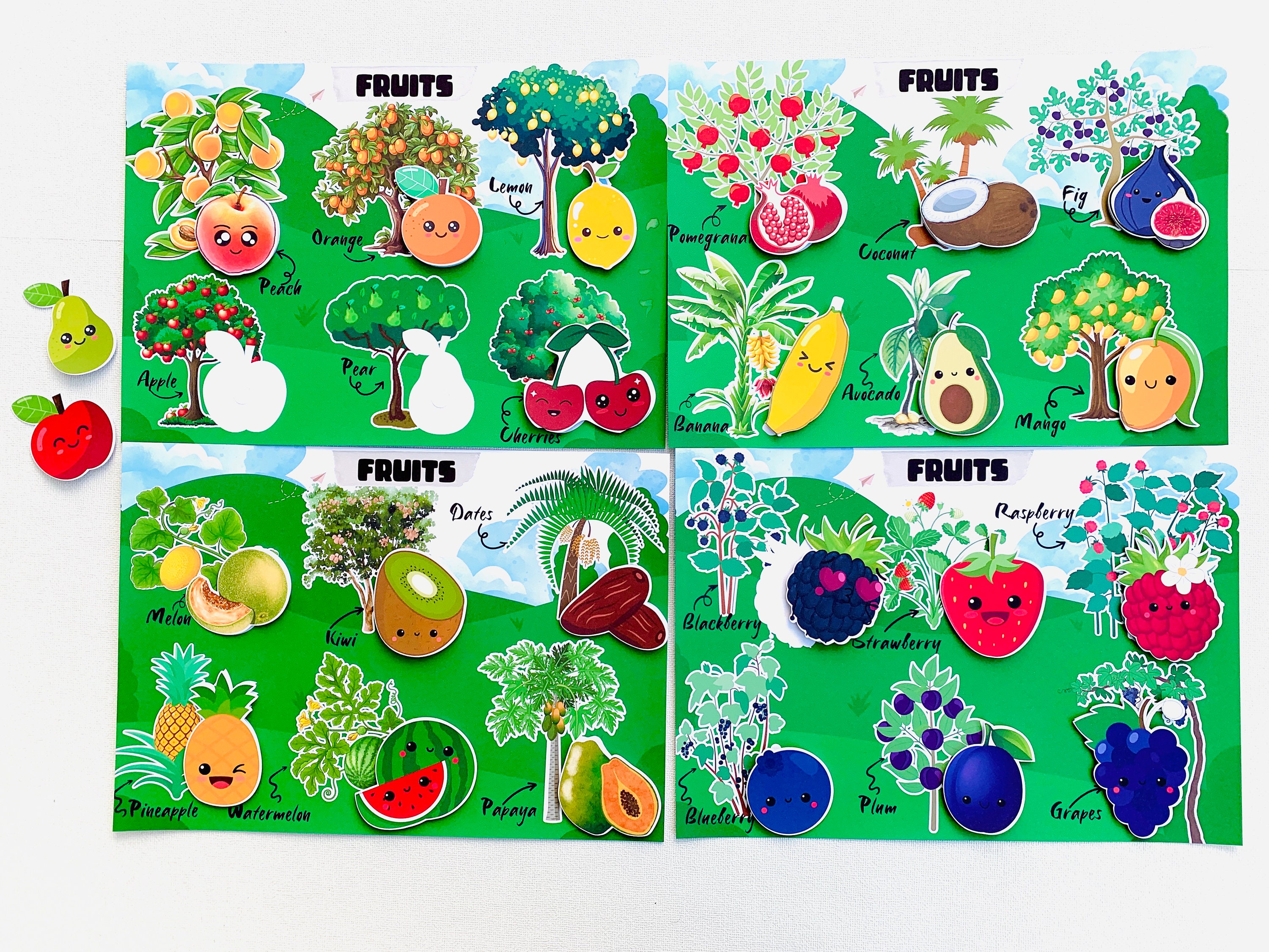 Fruits and Vegetable Sorting Worksheet Fruits and Veggies Shadow ...