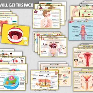 Human Anatomy Busy Book Body Parts Printable Montessori Material ...