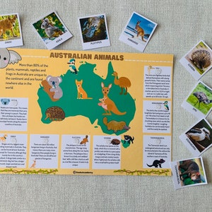 Australia Continents & Oceans Printable Activity Pack World Geography ...