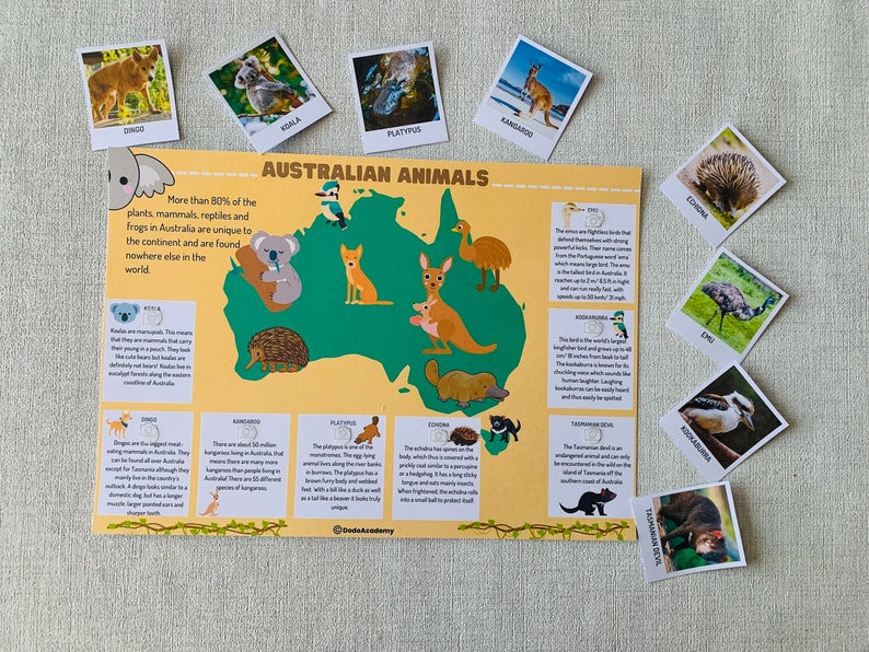 Australia Continents & Oceans Printable Activity Pack World Geography ...