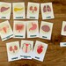Human Organs Learning Activity With Flashcards and Body Facts ...