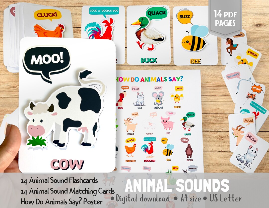 Animal Sounds Learning Animal Flashcards Montessori Materials ...