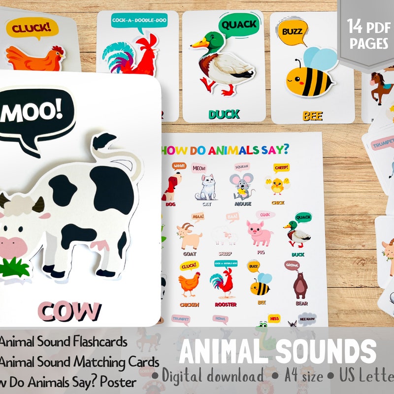 Animals Sound Book - Etsy UK