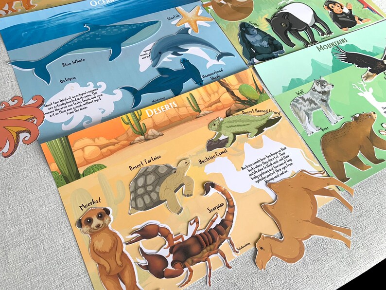 Animal Habitats Matching Game Geography Sorting Activity - Etsy