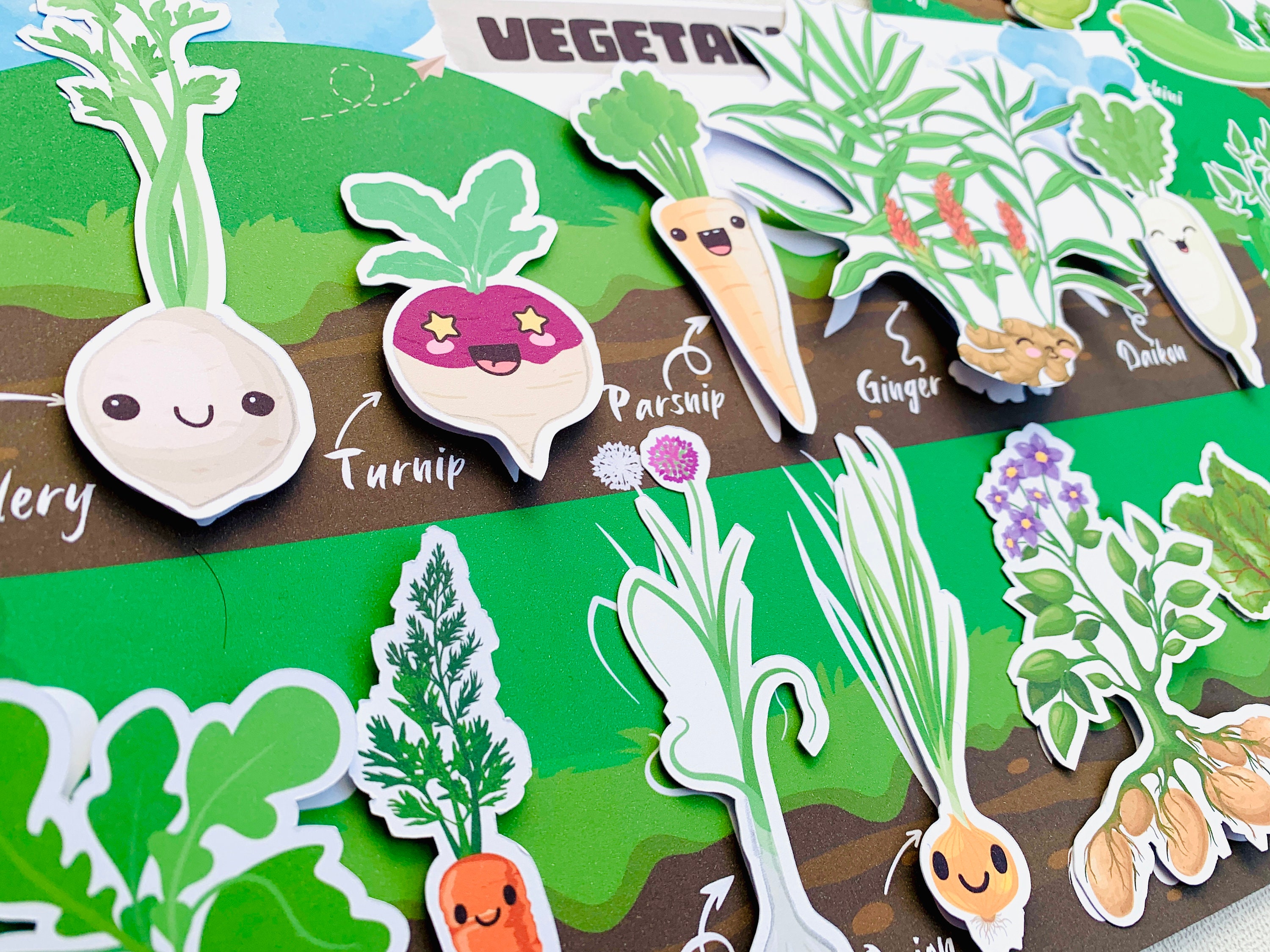 Vegetable Shadow Matching Worksheet: Montessori Learning Binder (PDF ...