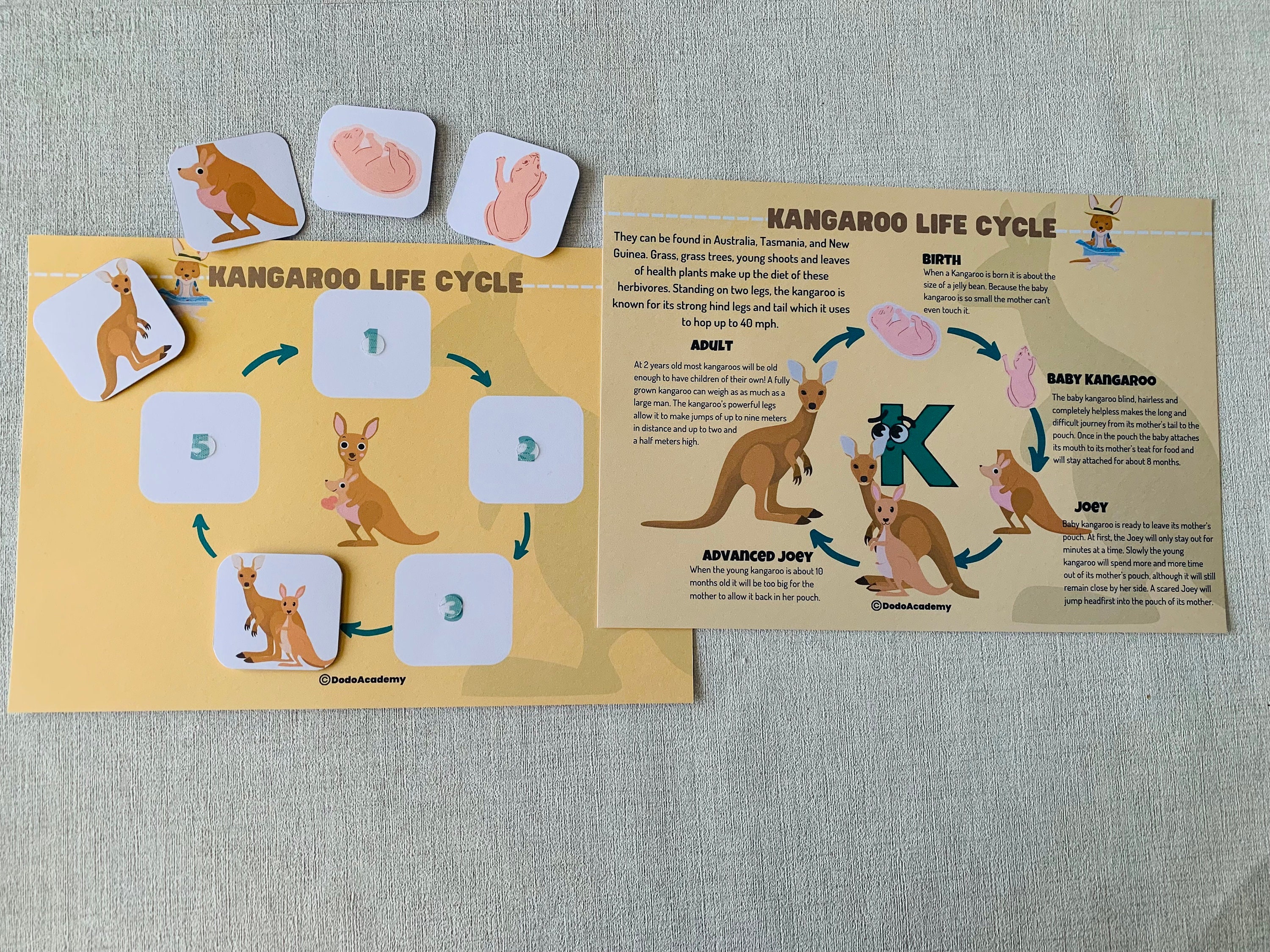 Australia Continents & Oceans Printable Activity Pack World Geography ...