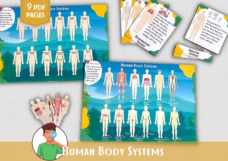 Human Anatomy Busy Book Human Body Systems Body Parts Printable ...