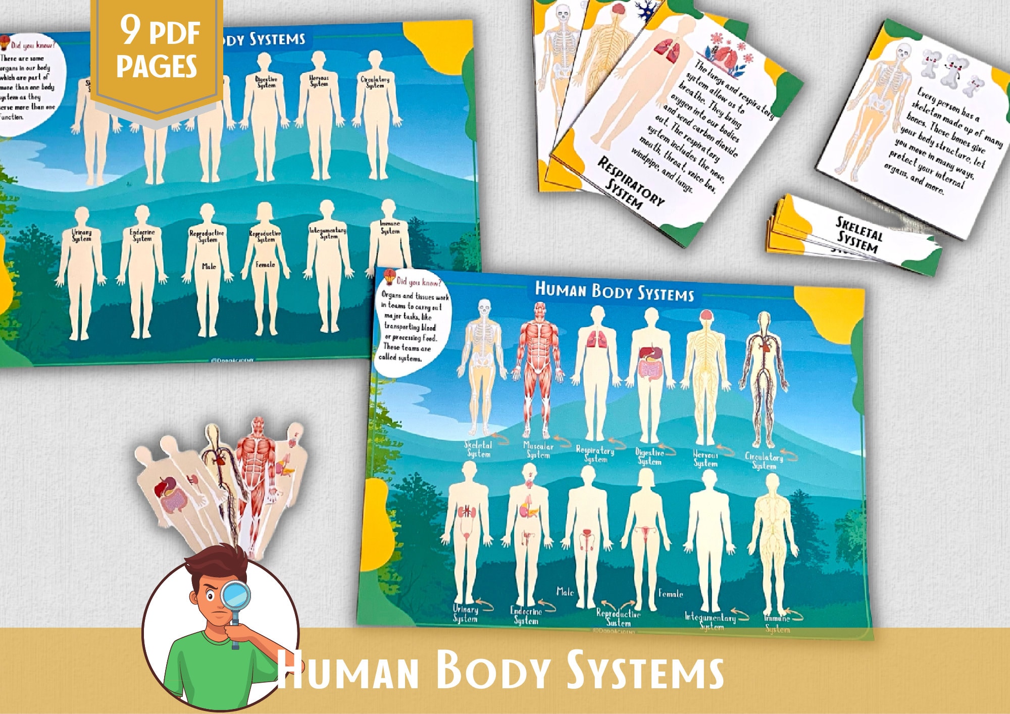 Human Anatomy Busy Book Human Body Systems Body Parts Printable ...