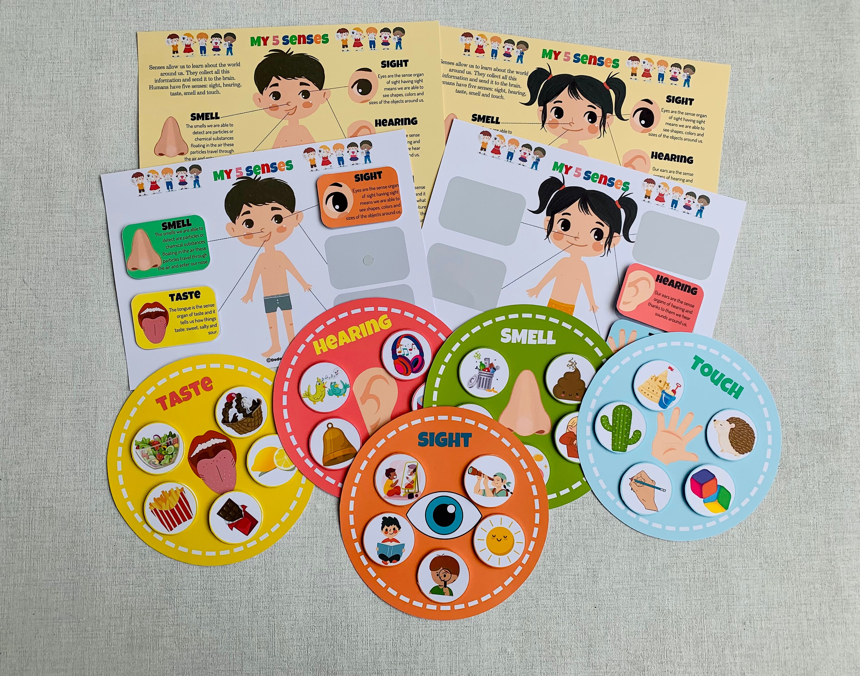 Five Senses Sorting Activity Printable 5 Senses Sorting - Etsy Australia