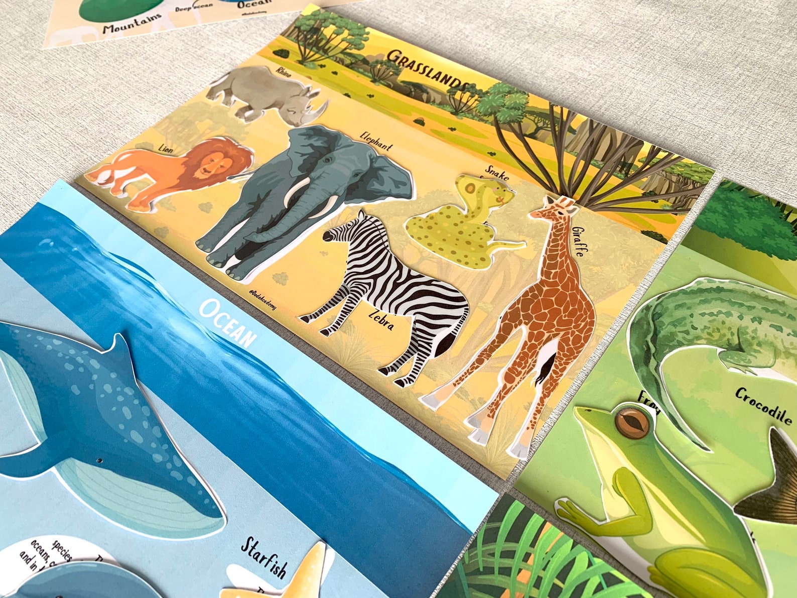 Animal Habitats Matching Game Geography Sorting Activity - Etsy