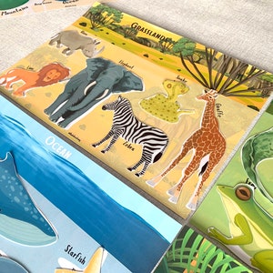 Animal Habitats Matching Game Geography Sorting Activity Animal Fun ...