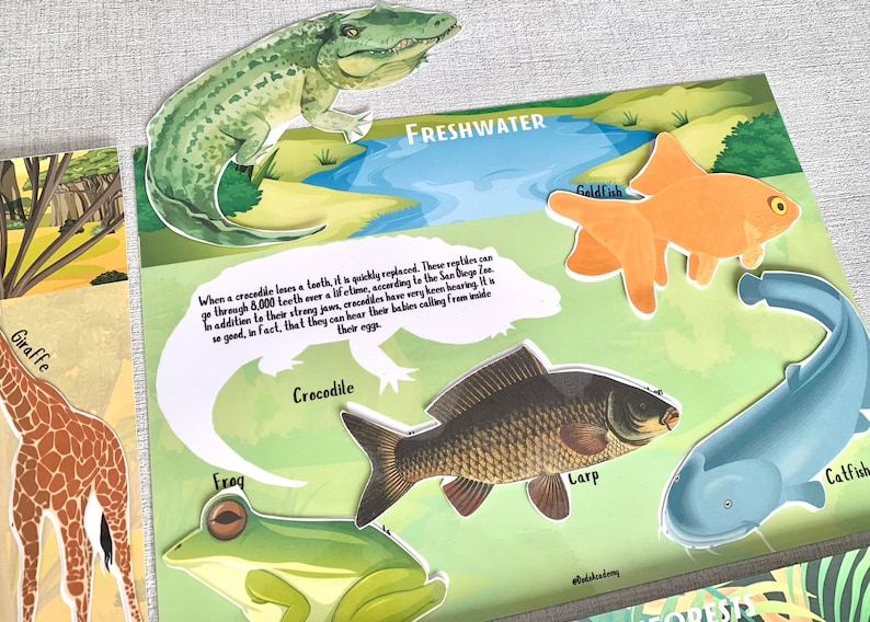 Animal Habitats Matching Game Geography Sorting Activity - Etsy