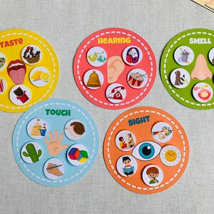 Five Senses Sorting Activity: Montessori Homeschool Printable (PDF) - Etsy